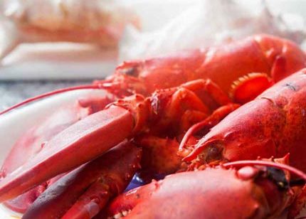 Koh Samui Catering - #1 Wedding Caterers in Koh Samui